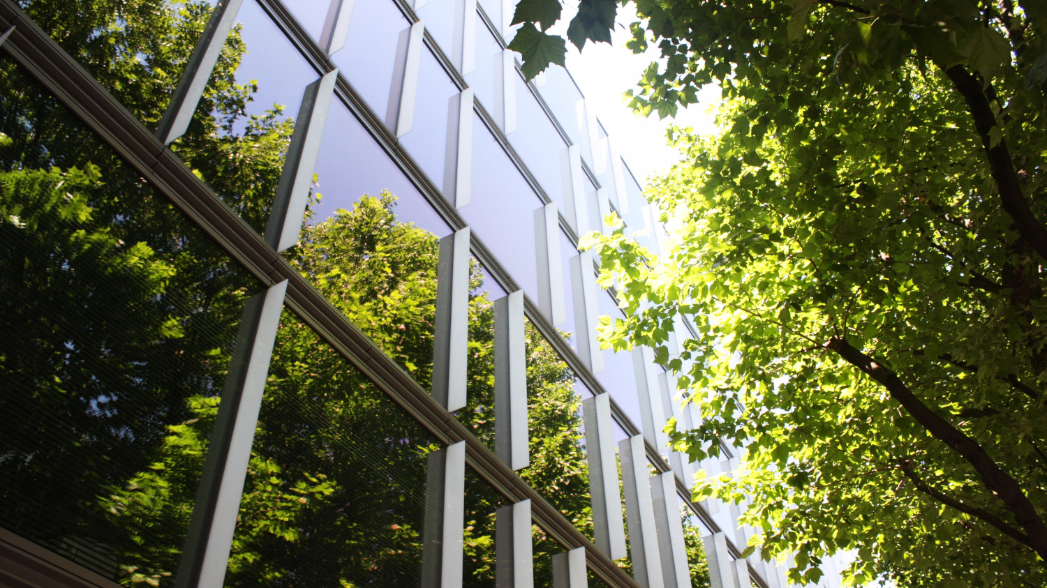 Prédio Verde - Miguel Neto Advogados